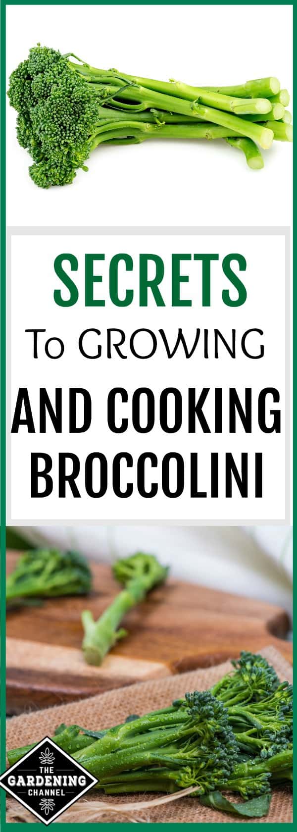 How To Grow Broccolini
