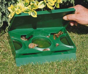 Slug and Snail Pest Control - Gardening Channel