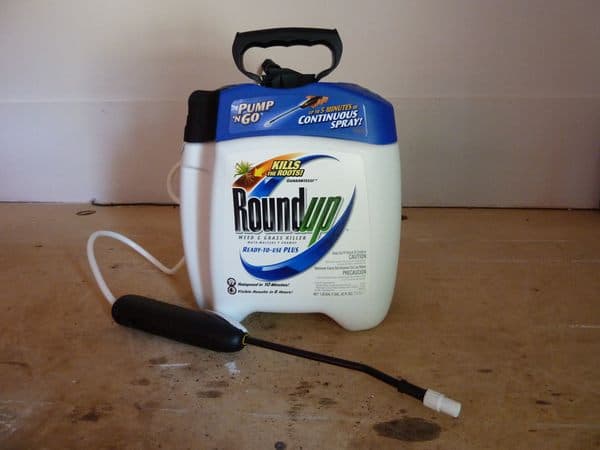 Review: Roundup Pump ‘N Go weed killer spray with wand - Gardening Channel