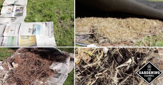 Lasagna Gardening 101: the lazy, no-till garden method that works ...