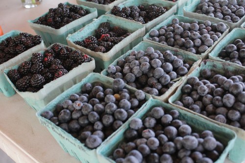 List of polyphenol rich vegetables, fruits, herbs and juices