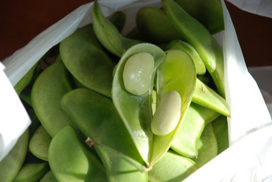 Combas - JungleKey.fr Image #150