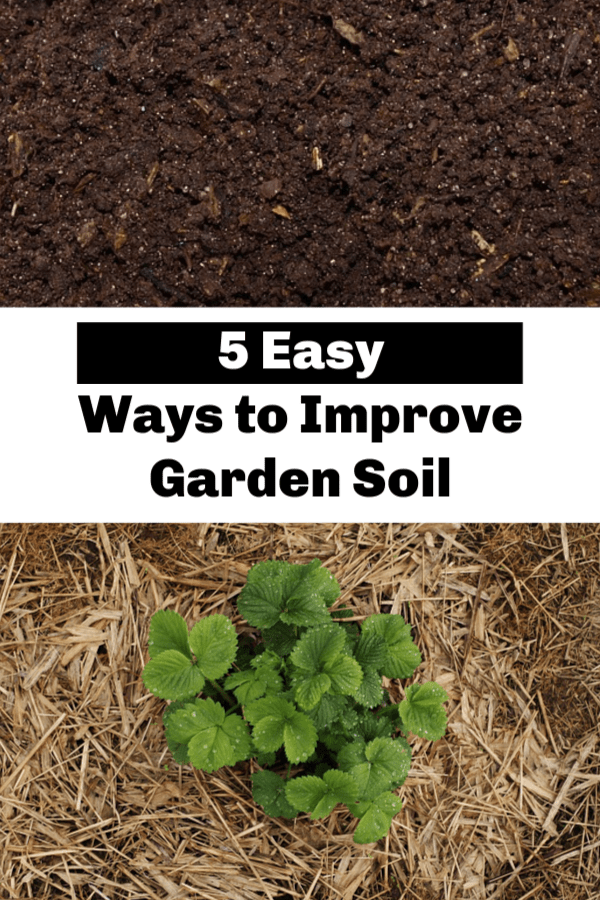 How To Improve Your Garden Soil Gardening Channel