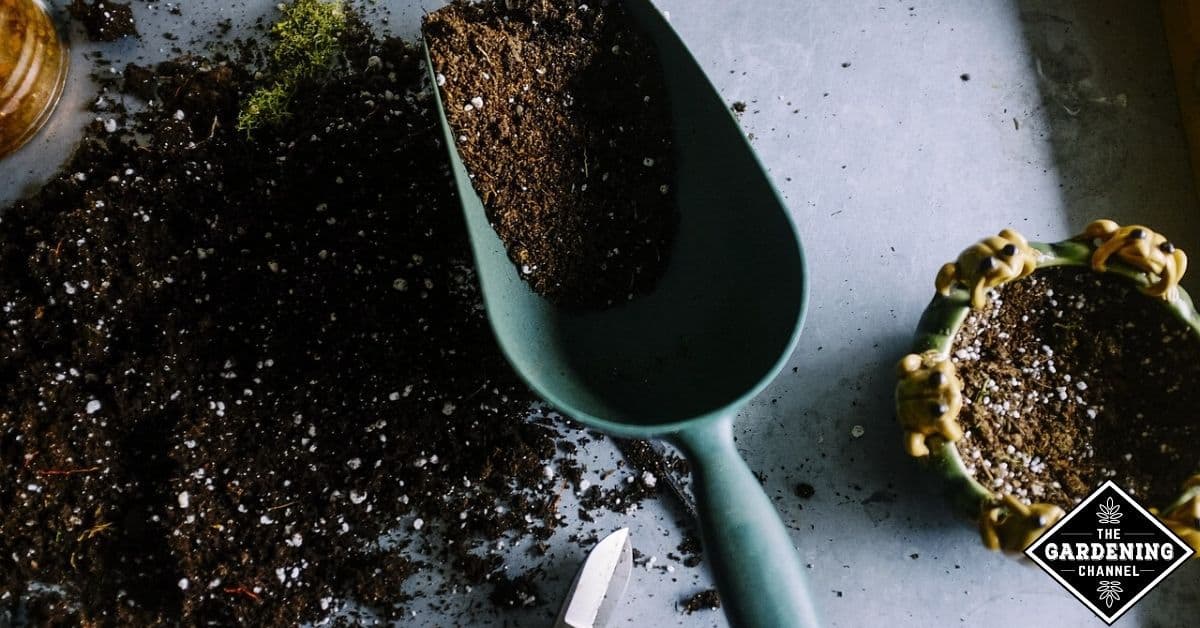 Perlite vs Vermiculite, Fully Explained - Gardening Channel