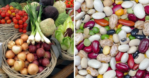 Vegetables vs. Legumes, Fully Explained - Gardening Channel
