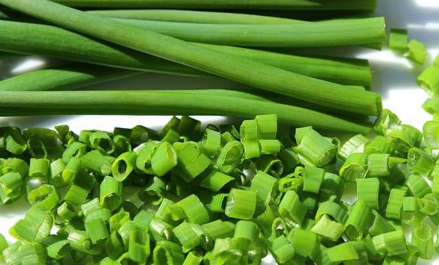 How to Grow Chives Indoors - Gardening Channel