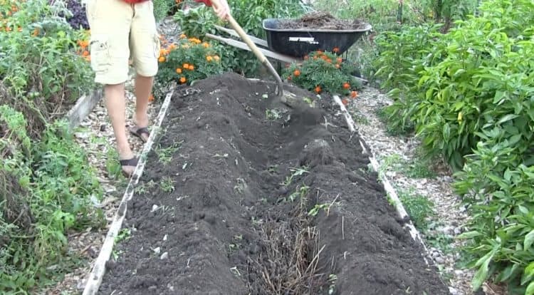 Core Gardening Method: Grow More with Less Work and Water - Gardening ...