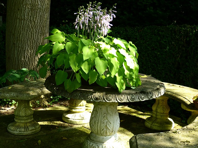 How to Grow Hostas in Pots and Planters - Gardening Channel