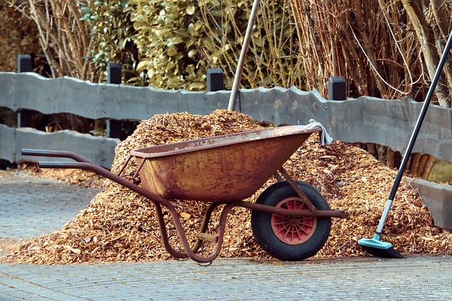 15 Mulch Alternatives for Your Garden - Gardening Channel