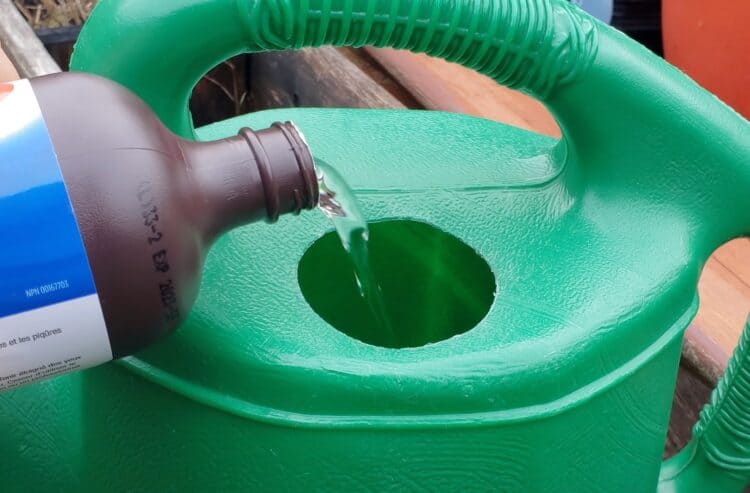 Hydrogen Peroxide for Houseplants, Fully Explained - Gardening Channel