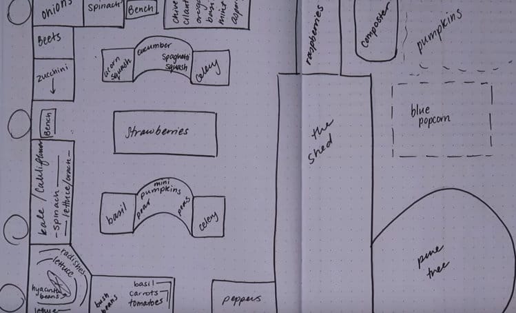 Keeping Garden Records: How and Why You Should Keep Them Over the Years ...